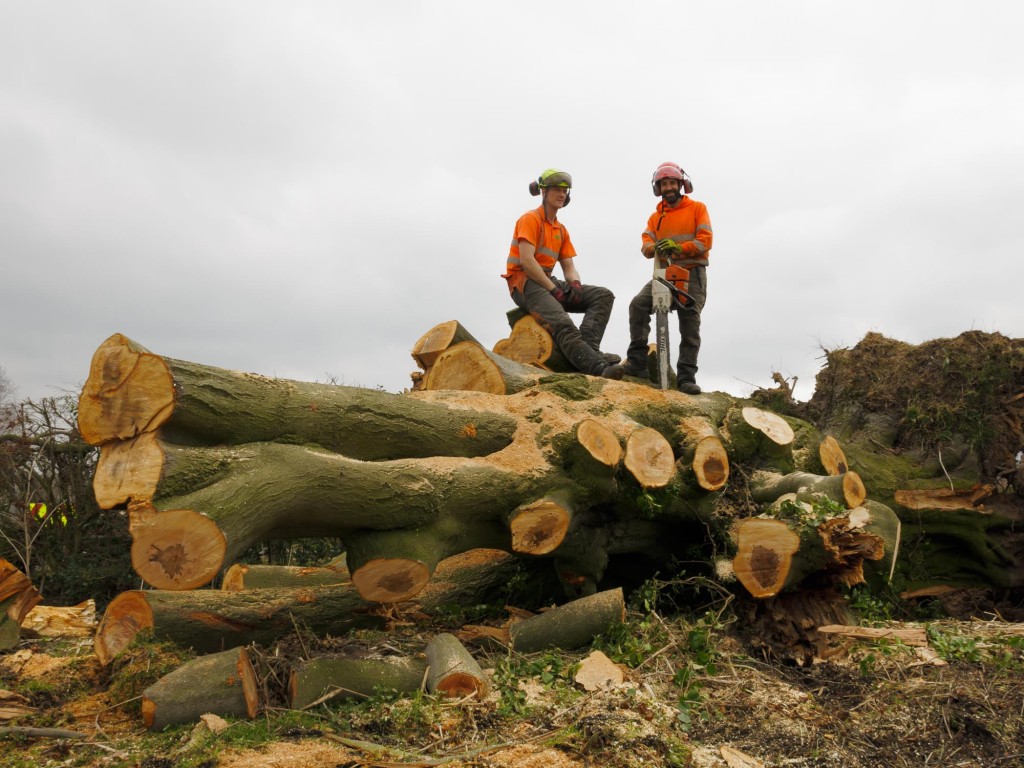 Working for us | J C Trees Ltd